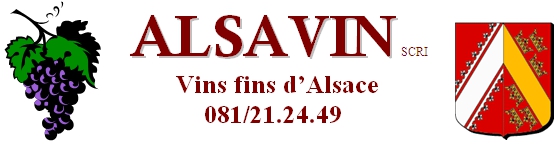 New BC Alsavin-Belgrade